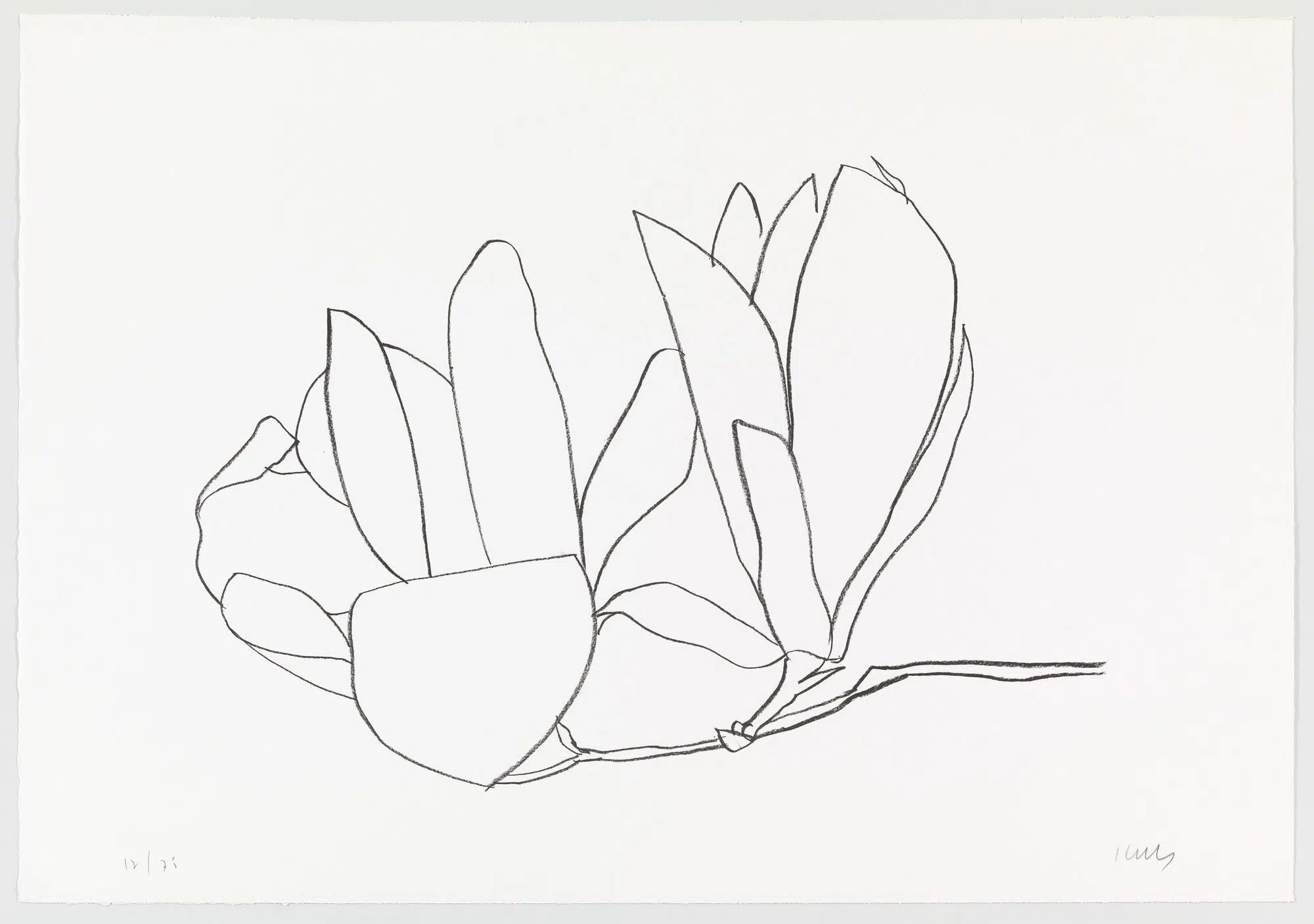 We love Ellsworth Kelly ⋆ The Art Room